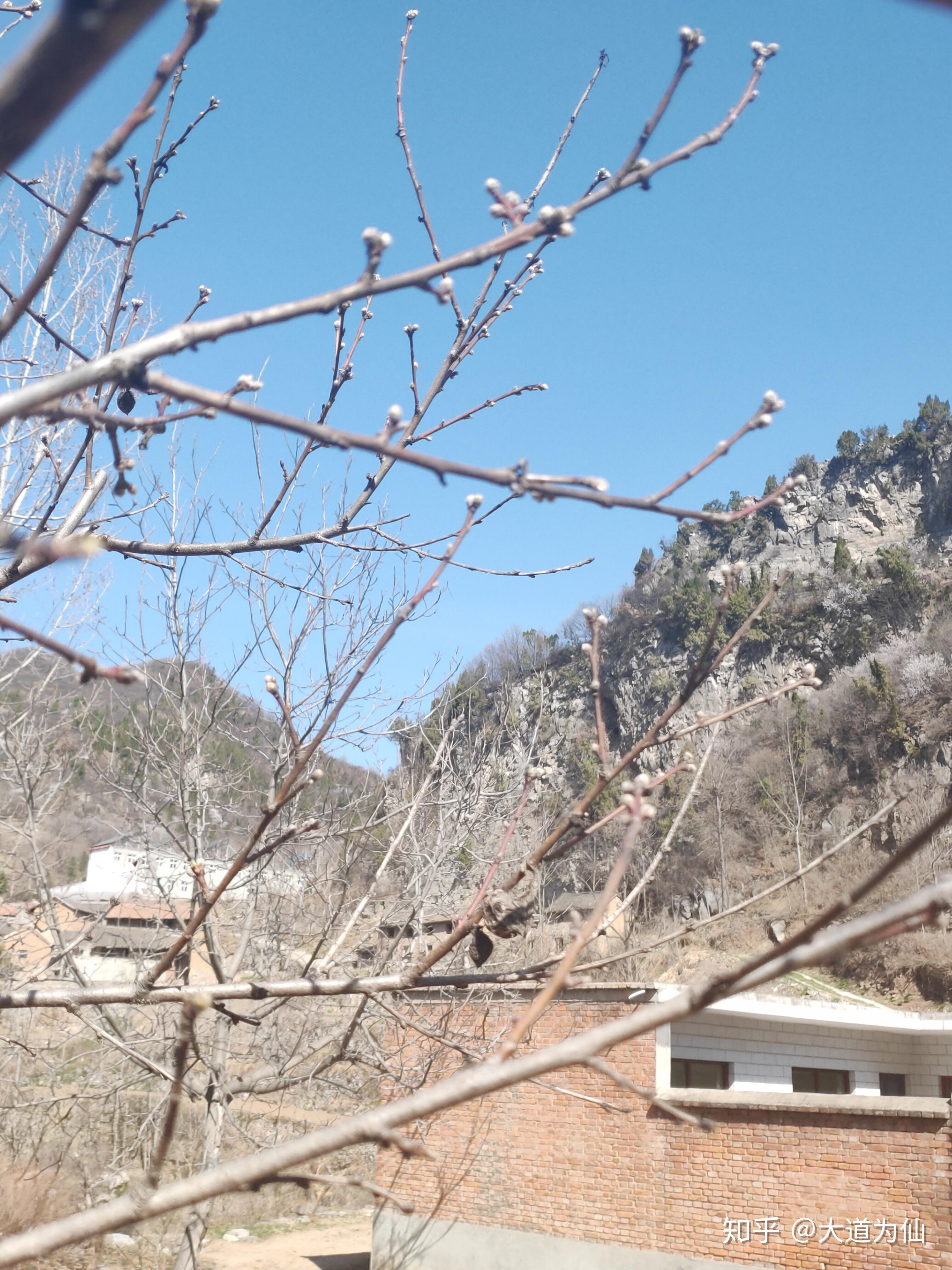 等*门前*花开——面朝山海，等你归来 - 知乎