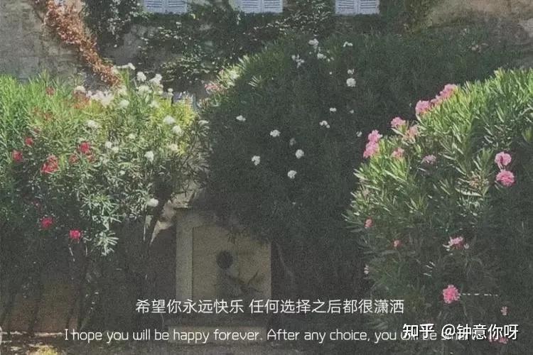 看到哪句话戳中了你的点? 知乎