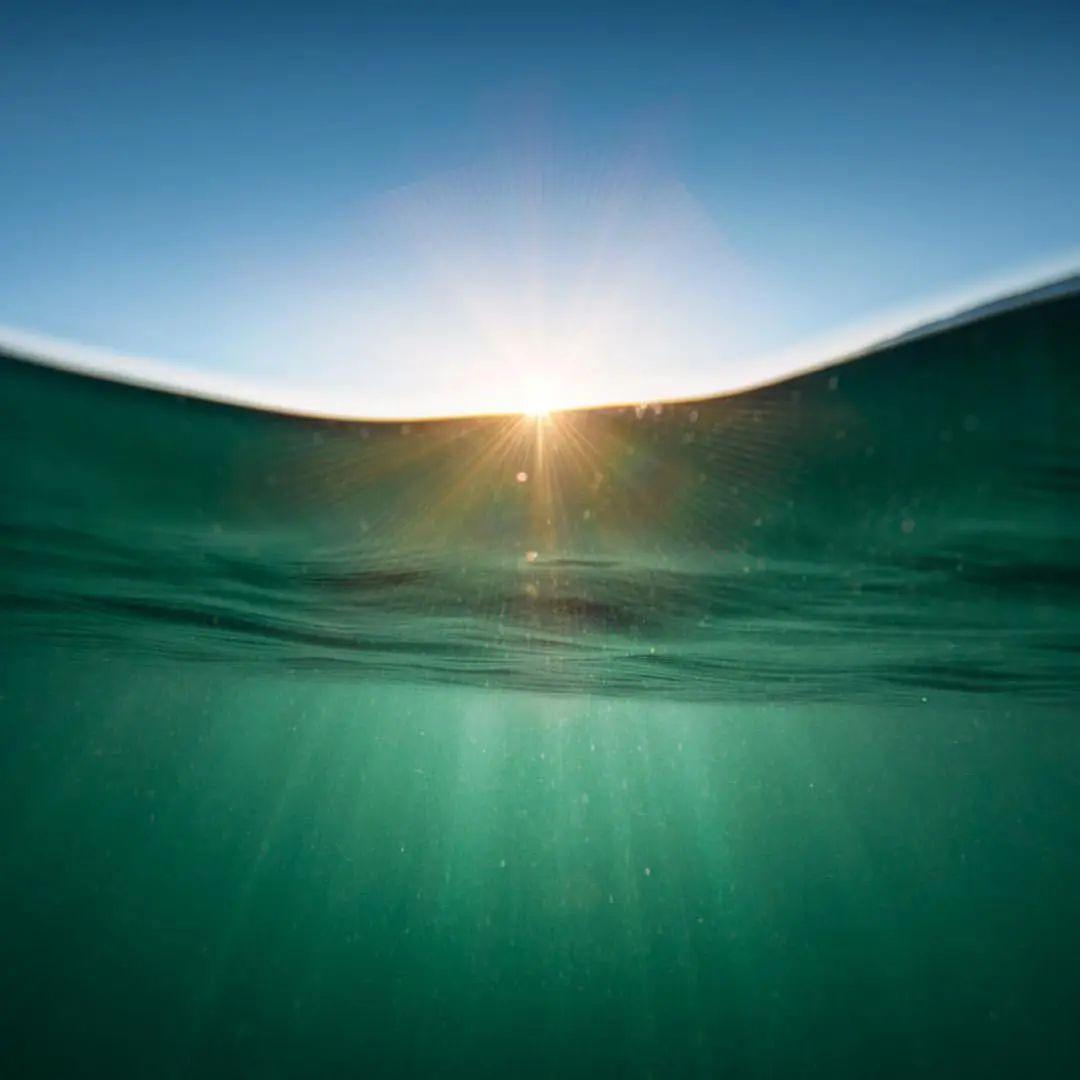 Benjamin Everett|发现自然的温柔 - 知乎