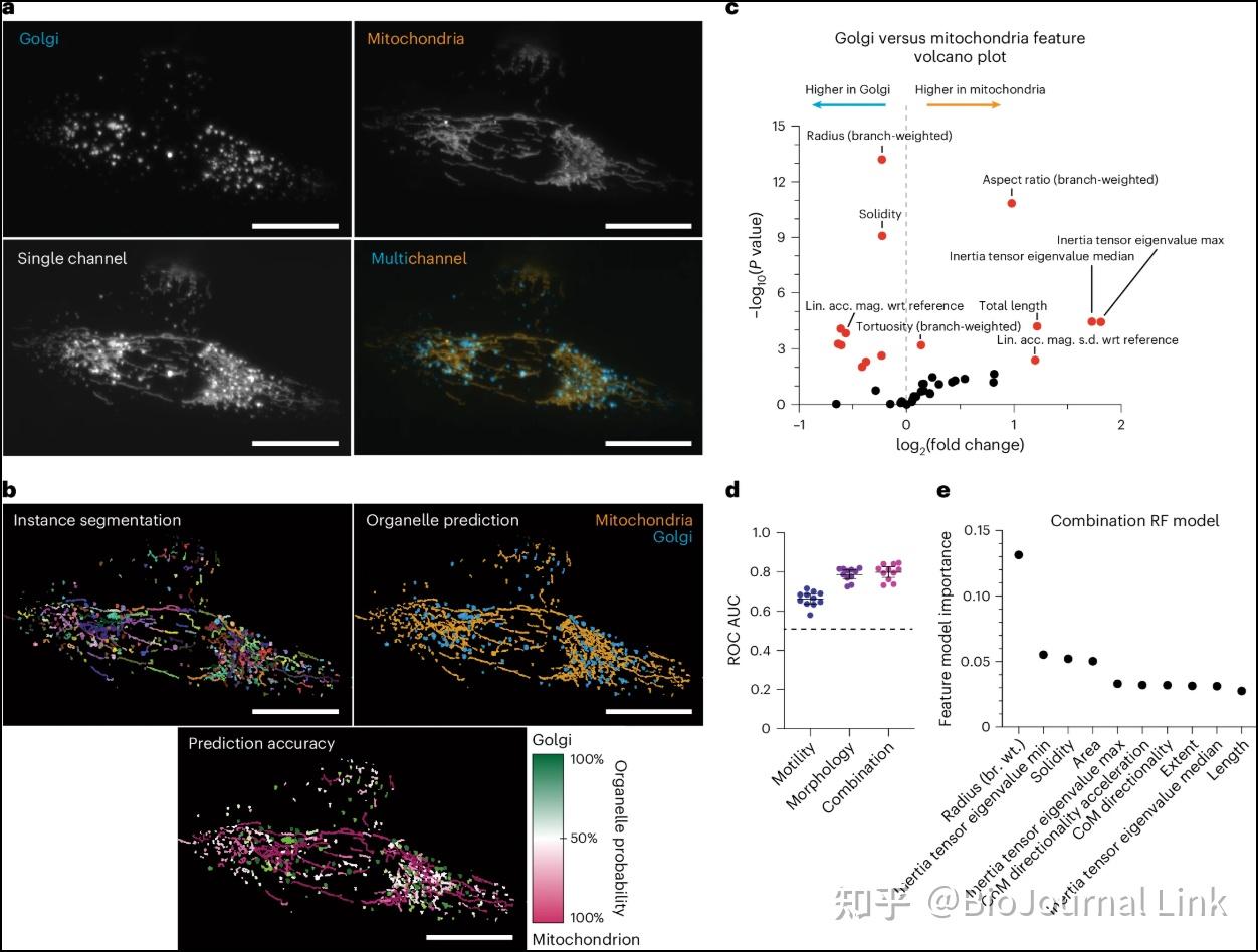 生物图像 | Nat.Methods | Nellie：自动化细胞器分割、跟踪和二维/三维活细胞显微镜下的层级特征提取 - 知乎