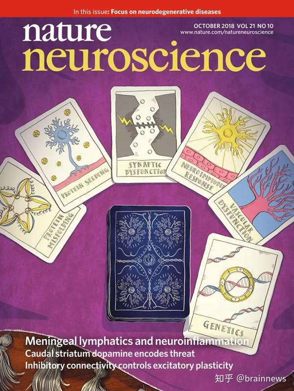 欣赏精彩的脑科学封面（10月） - 知乎