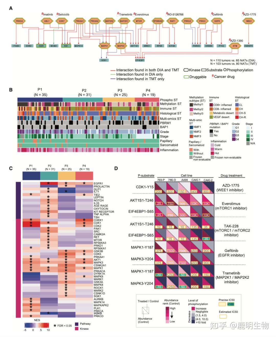 30+机构联合蛋白组学、多组学揭示透明细胞型肾细胞癌侵袭性特征 - 知乎