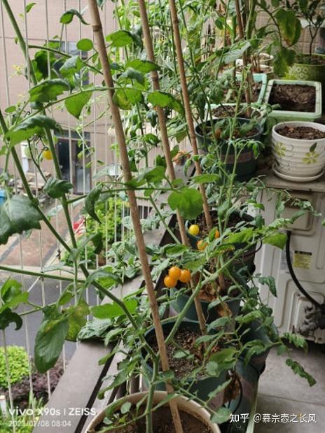 2023双十一 4000-5000元手机优缺点+测试数据 按发布时间排序 - 知乎