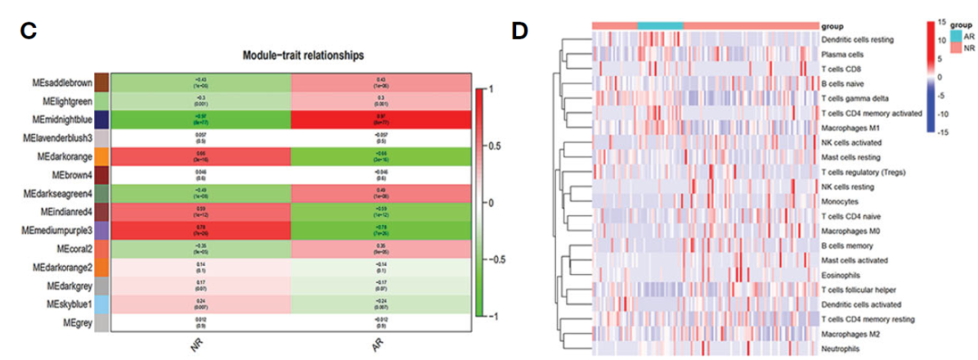 5张图搞定8分+生信文章！两月接收！只有简单的WGCNA和免疫浸润分析，不蹭热点照样发高分，怎么做到的？ - 知乎