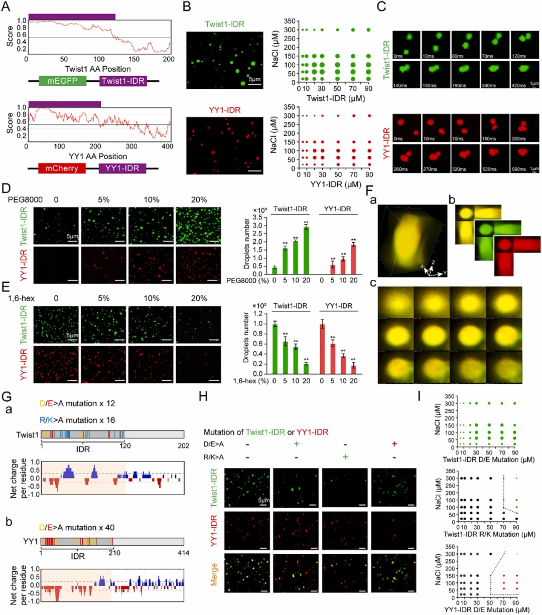 Pharmacol Res︱南开大学药学院孙涛/刘慧娟/杨诚团队合作揭示肝癌恶性演进分子机制 - 知乎