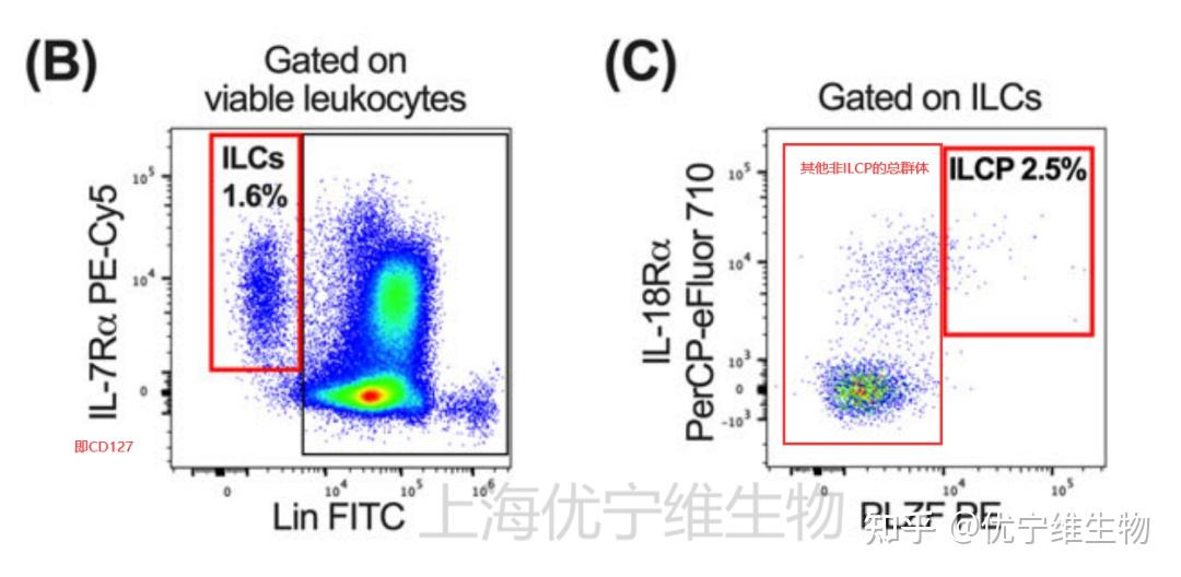 【罗工流式秘籍73】小鼠ILC细胞亚群检测指标怎么选？ - 知乎