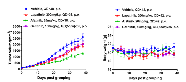 PDX模型，模拟真实肿瘤生长 - 知乎