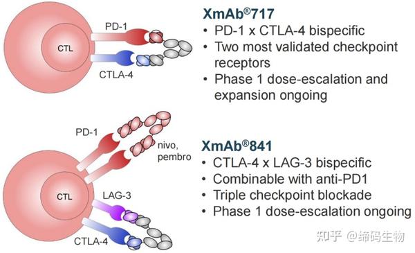 肿瘤免疫靶点 | CTLA-4 - 知乎