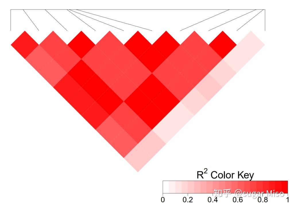 使用LDheatmap快速绘制SNP连锁不平衡图 - 知乎