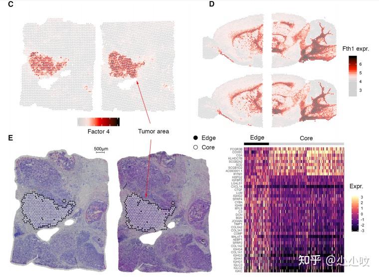 STUtility：一个为空间转录组学数据提供全流程分析的工具 - 知乎