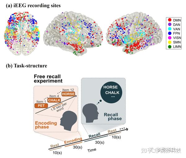 颅内EEG记录揭示人类DMN网络的电生理基础 - 知乎