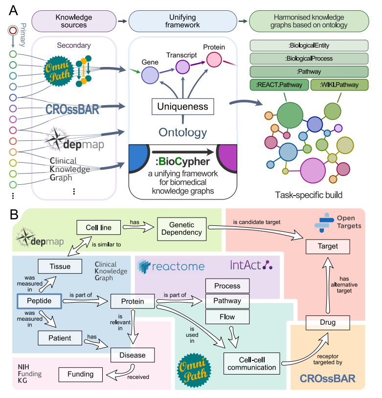 Nat. Biotechnol.| BioCypher推动生物医学知识表征大一统 - 知乎