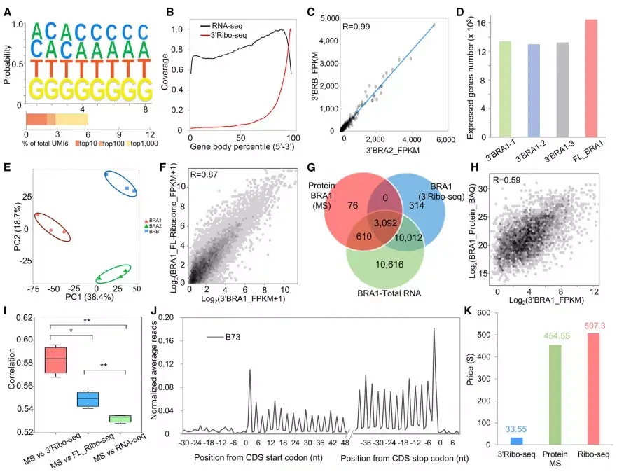 项目文章 | 诺禾致源Ribo-seq助力解析植物翻译组图谱 - 知乎