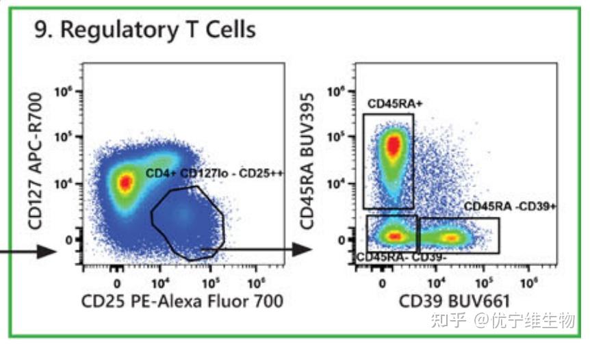 【光谱系列3】40色全光谱流式用于人外周血中主要细胞亚群的深度免疫表型 - 知乎