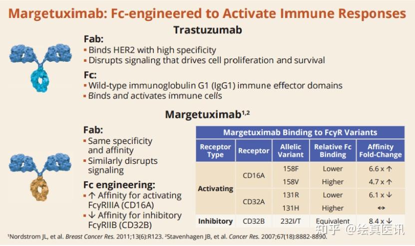 HER2阳性乳腺癌新药马吉妥昔单抗上市！后线治疗再添新选 - 知乎