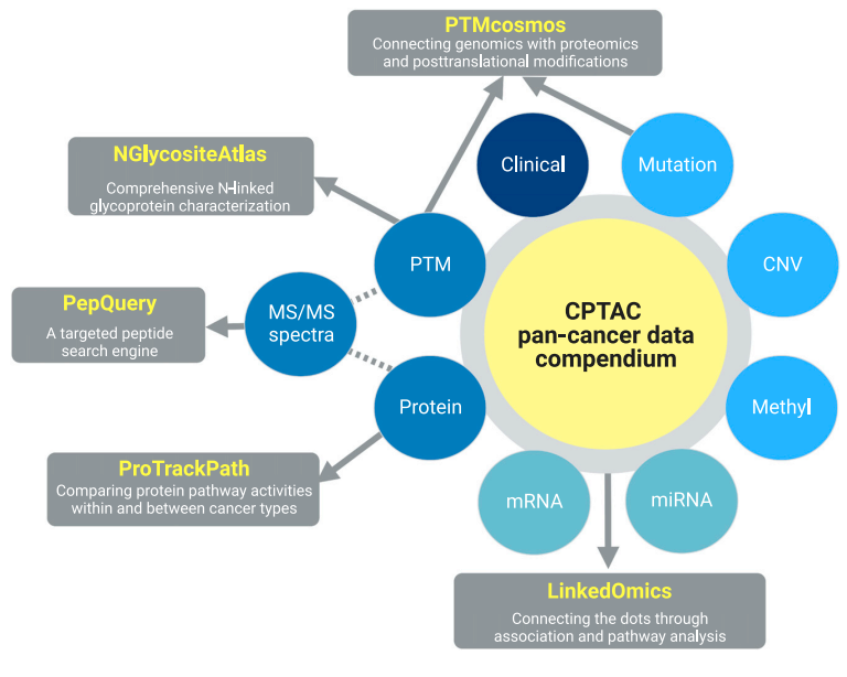 Cancer Cell | 基于上千例泛癌多组学数据，CPTAC发布蛋白基因组学共享数据资源 - 知乎