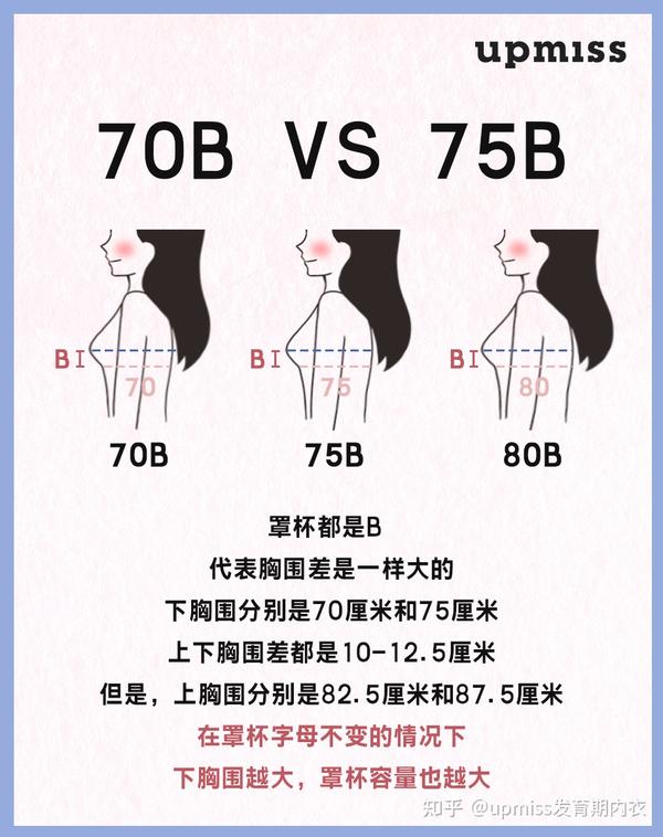 胸部科普 l 70B和75B哪个大？看完这个全懂了 - 知乎