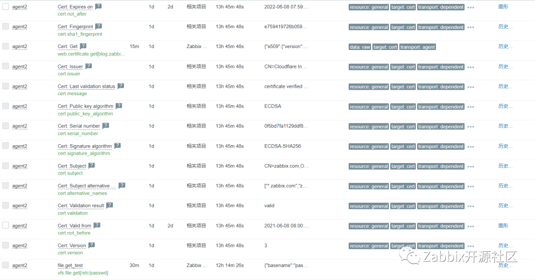  buff Zabbix 6 0 Agent 2 