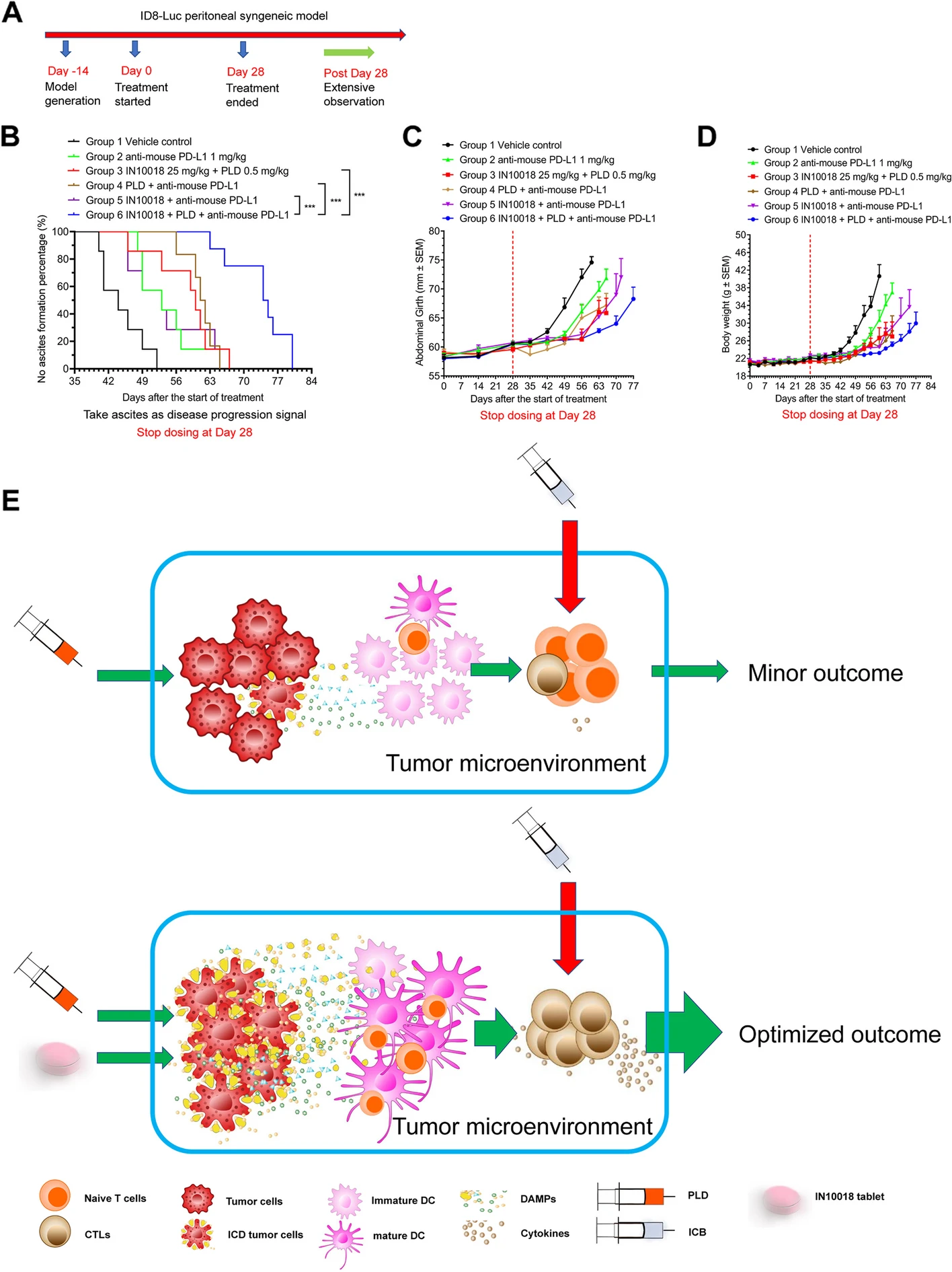 冷肿瘤加热：FAK抑制剂增敏卵巢癌PD-1免疫治疗，瘤子先增大后消退 - 知乎