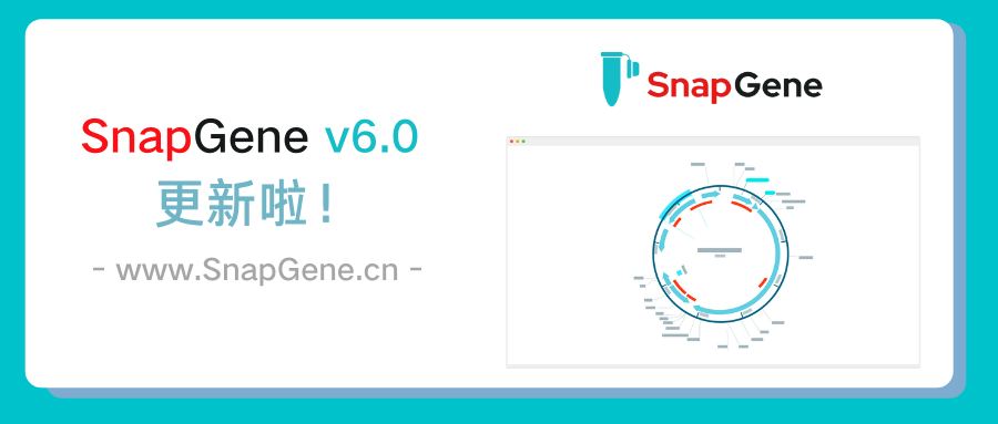 SnapGene重磅更新 — SnapGene V6.0来啦！ - 知乎
