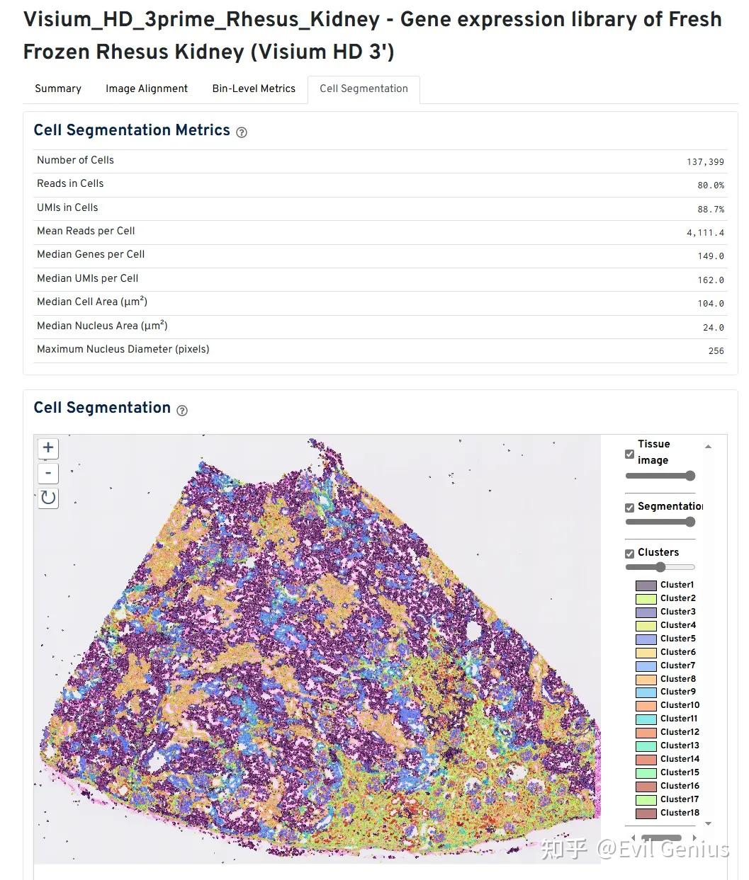 10X官方发布10X visium HD细胞分割方法 - 知乎