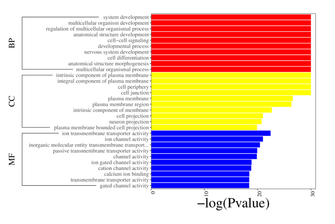 产品介绍|Illumina EPICv2.0-935K甲基化芯片 - 知乎