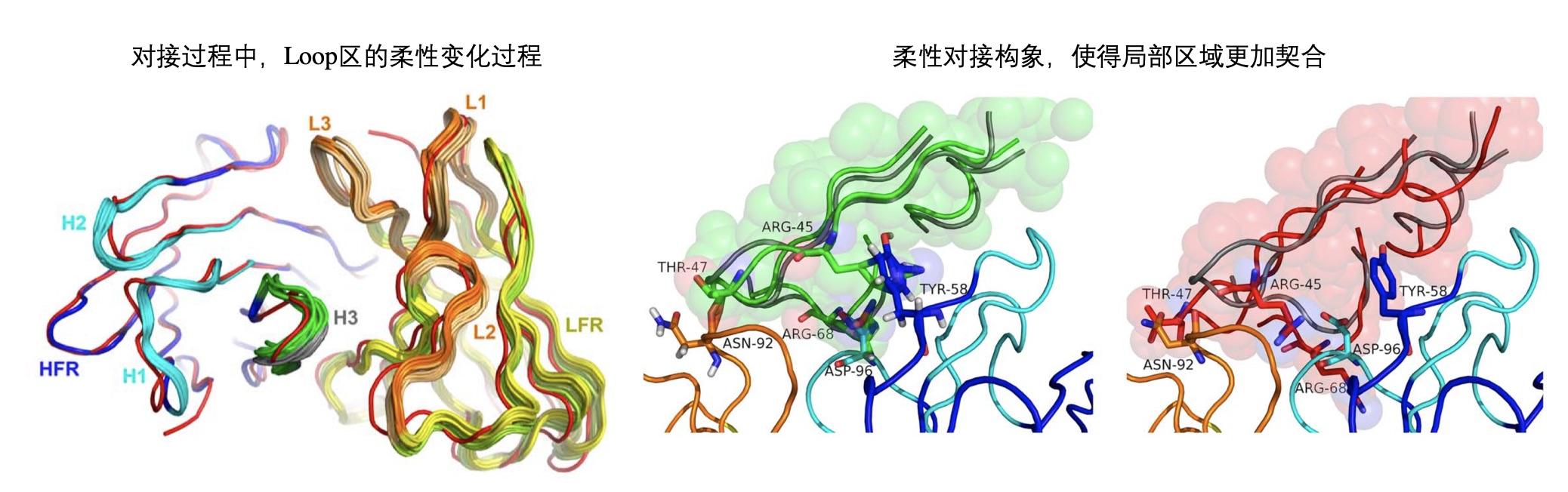 RosettaDock: 蛋白-蛋白复合物对接预测 - 知乎
