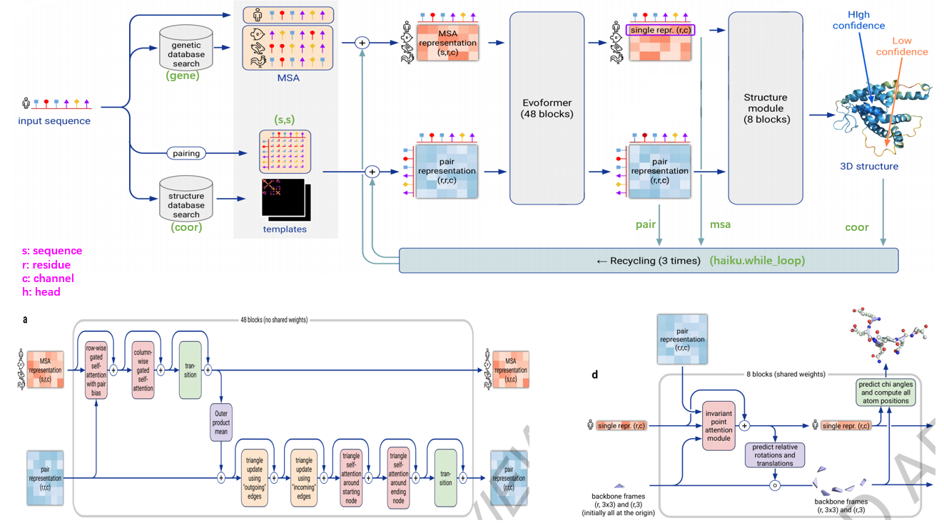 AlphaFold/ RoseTTAFold开源复现（2）—AlphaFold流程分析和训练构建 - 知乎