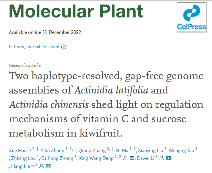 Mol Plant | 猕猴桃育种4.0开启！北京大学/中科院武汉植物园联合构建两个猕猴桃物种T2T基因组图谱 - 知乎