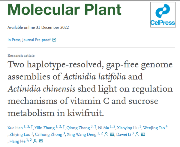 Mol Plant | 猕猴桃育种4.0开启！北京大学/中科院武汉植物园联合构建两个猕猴桃物种T2T基因组图谱 - 知乎