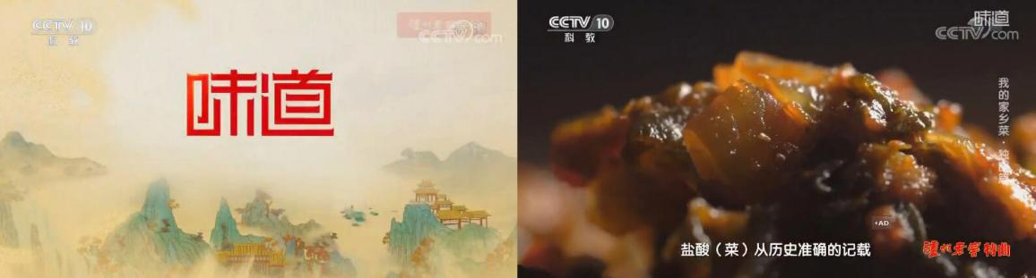 中央电视台广告中心-揭晓科教频道CCTV10节目合作和广告投放折扣价格 - 知乎