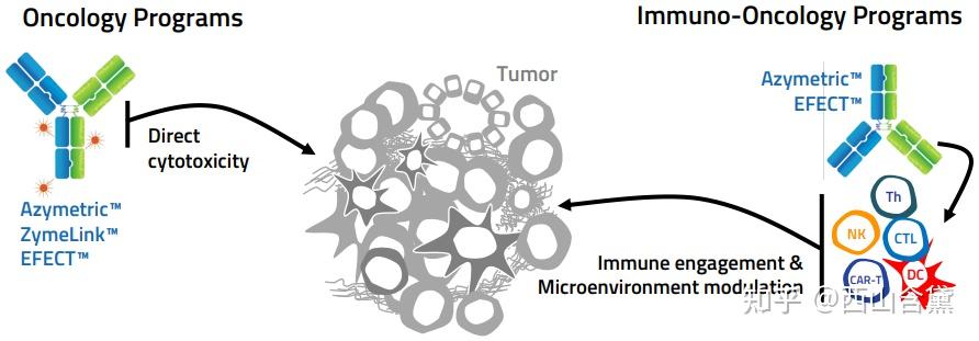 国内外知名企业ADC技术平台(第四期, Zymeworks) - 知乎