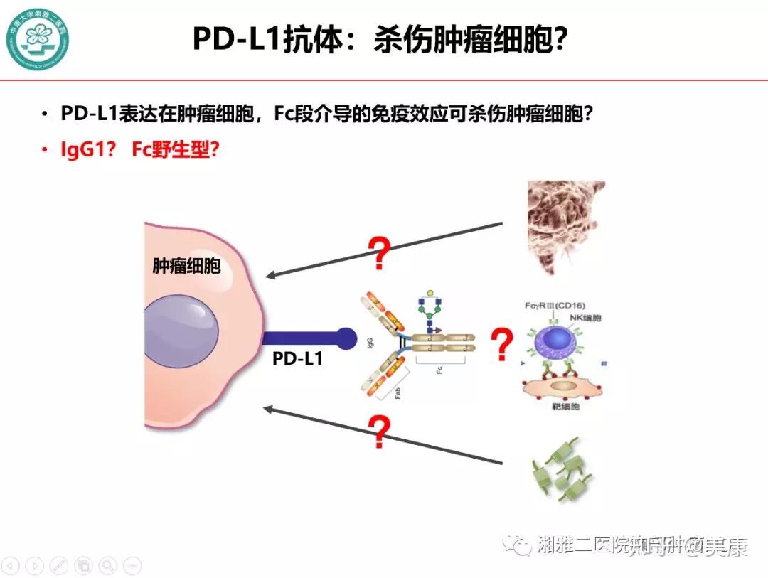 免疫治疗是如何抗击肿瘤的 - 知乎