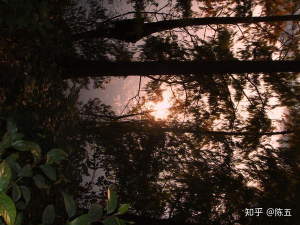 第一次使用ccd的体验以及ccd购买及使用指南 - 知乎