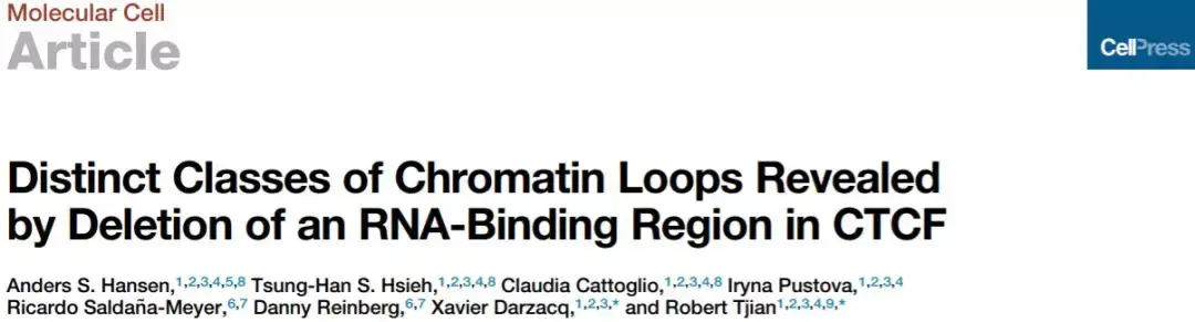 Mol Cell背靠背 | CTCF蛋白对染色质结构的调控与CTCF-RNA的相互作用密切相关 - 知乎