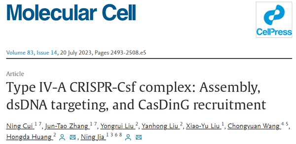CRISPR研究“再下一城”：南科大学者揭晓IV-A型CRISPR-Csf系统背后机制，有望用于临床疾病诊治 - 知乎