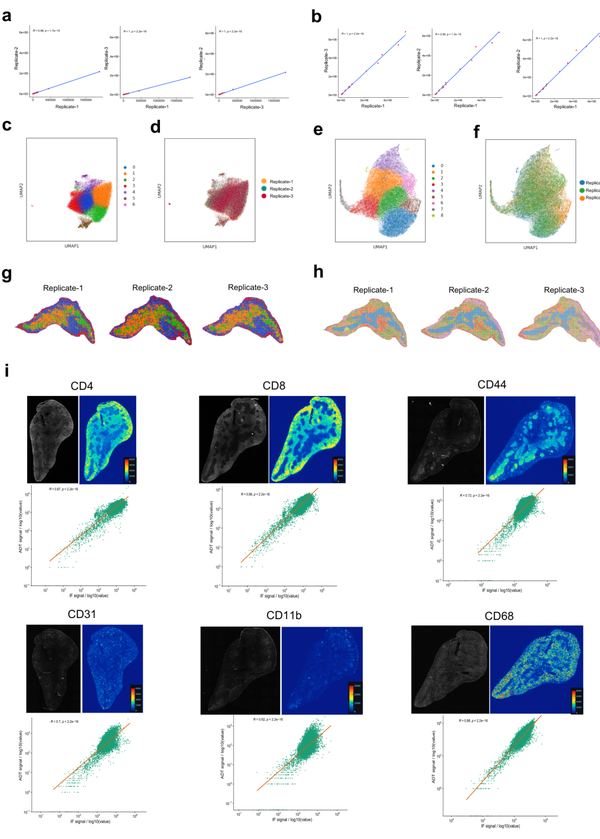 技术新突破 | Stereo-CITE-seq实现超高空间分辨率共检测组织全转录组和蛋白质 - 知乎