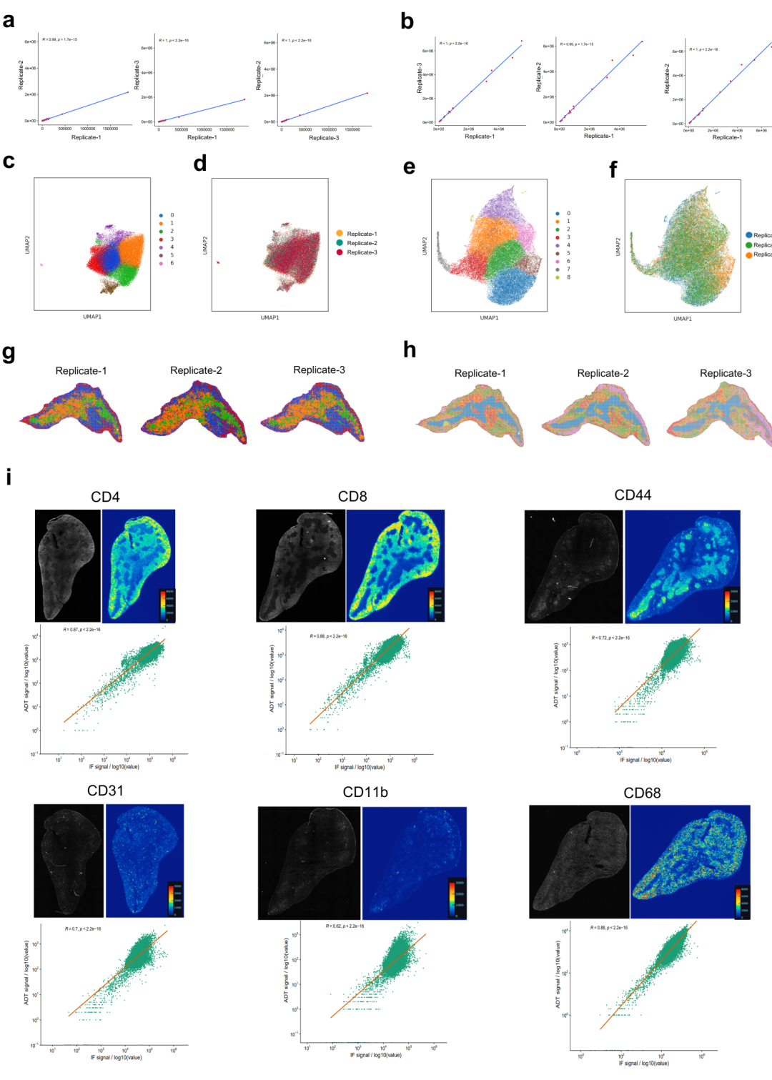 技术新突破 | Stereo-CITE-seq实现超高空间分辨率共检测组织全转录组和蛋白质 - 知乎