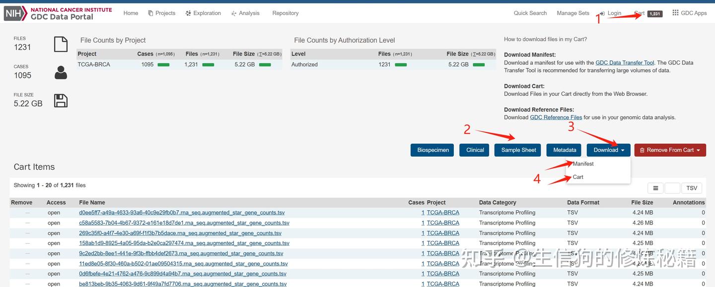 最新TCGA数据库下载教程 - 知乎