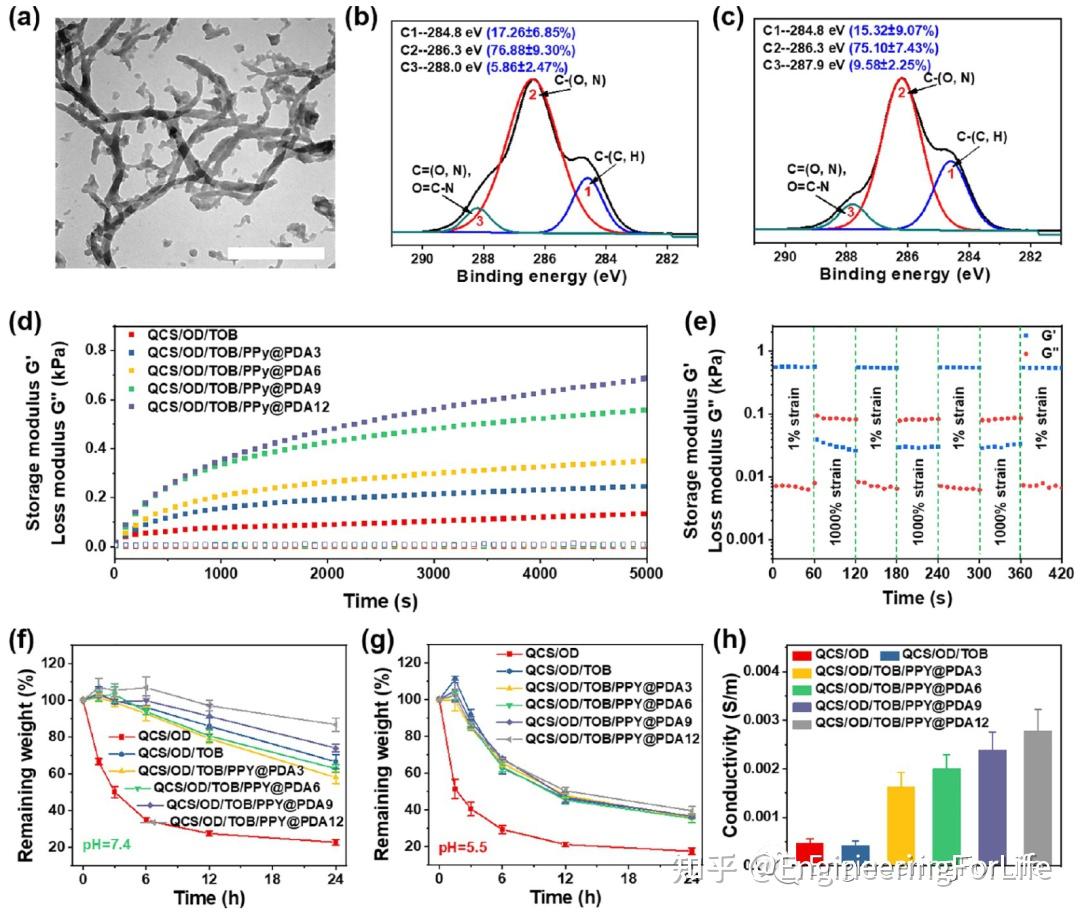 《ACS Nano》：智能控释水凝胶敷料用于感染性烧伤伤口愈合 - 知乎