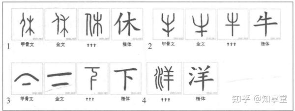 《国际中文教师证书（CTCSOL)》例题解析--考试大纲样卷 - 知乎