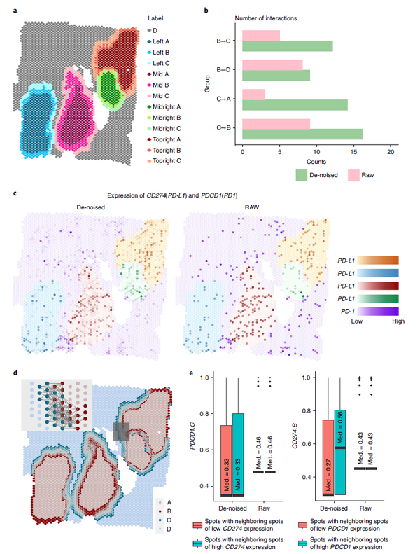 Nat Methods | 细胞级表达图谱匹配测序和病理图像，发现更多结构细节 - 知乎