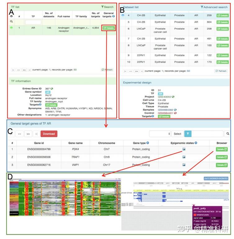 hTFtarget:一个全面的人类转录因子调控及其靶点数据库 - 知乎