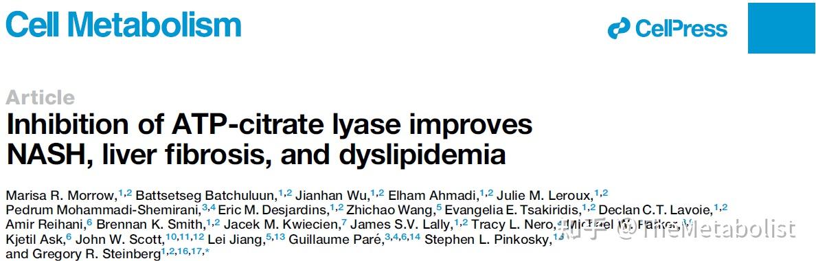 代谢学人--Cell Metabolism：NASH刺客 -- ATP柠檬酸裂解酶 - 知乎