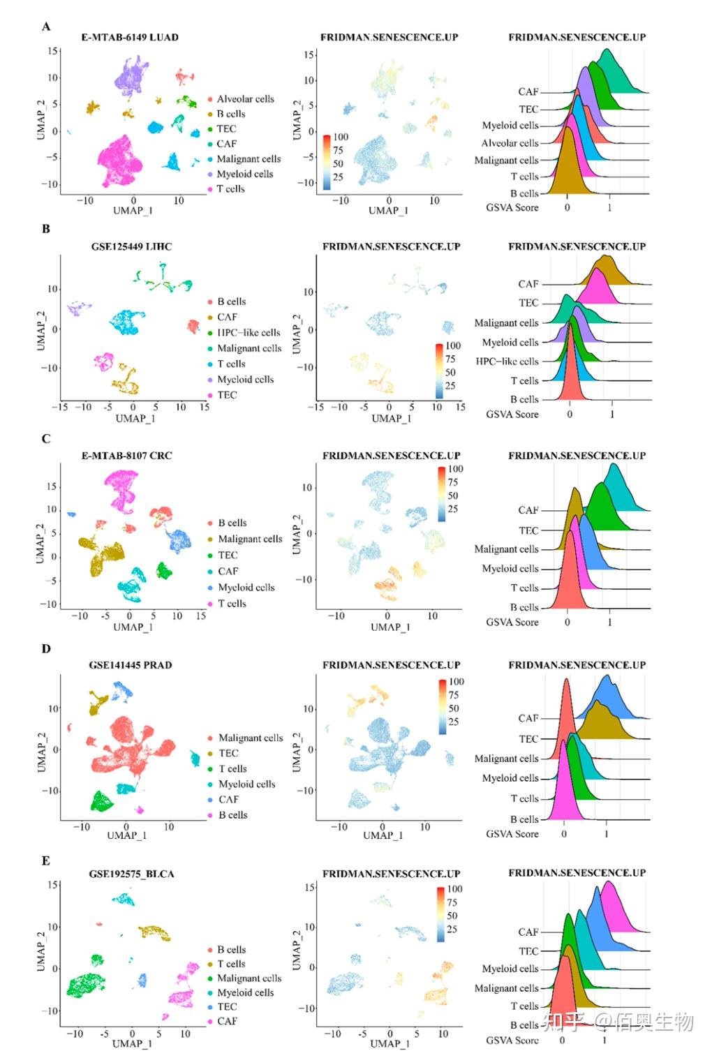 2023年只有7张figure的纯生信泛癌预后模型发12分 1区期刊 知乎