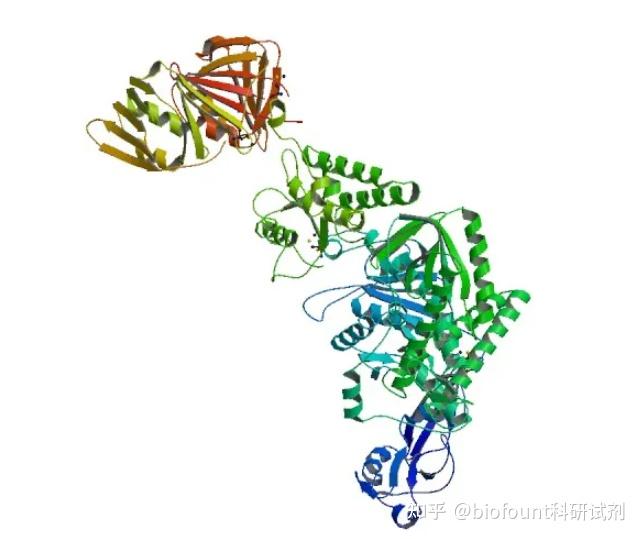 Taq 和 Pfu 聚合酶有什么区别 - 知乎