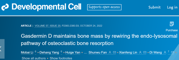 Dev Cell | 浙江大学发现Gasdermin D通过重组破骨细胞骨吸收的内溶酶体途径来维持骨量 - 知乎