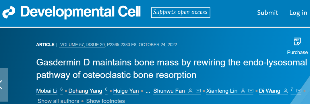 Dev Cell | 浙江大学发现Gasdermin D通过重组破骨细胞骨吸收的内溶酶体途径来维持骨量 - 知乎