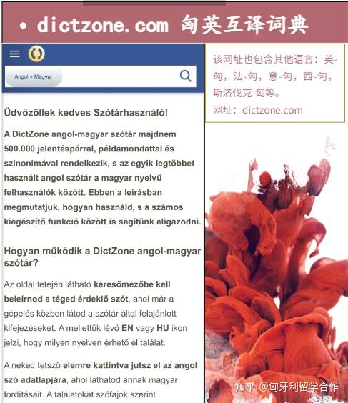 留匈攻略 | 12个实用匈语学习网站，留学生们多途径学习第二语言！ - 知乎