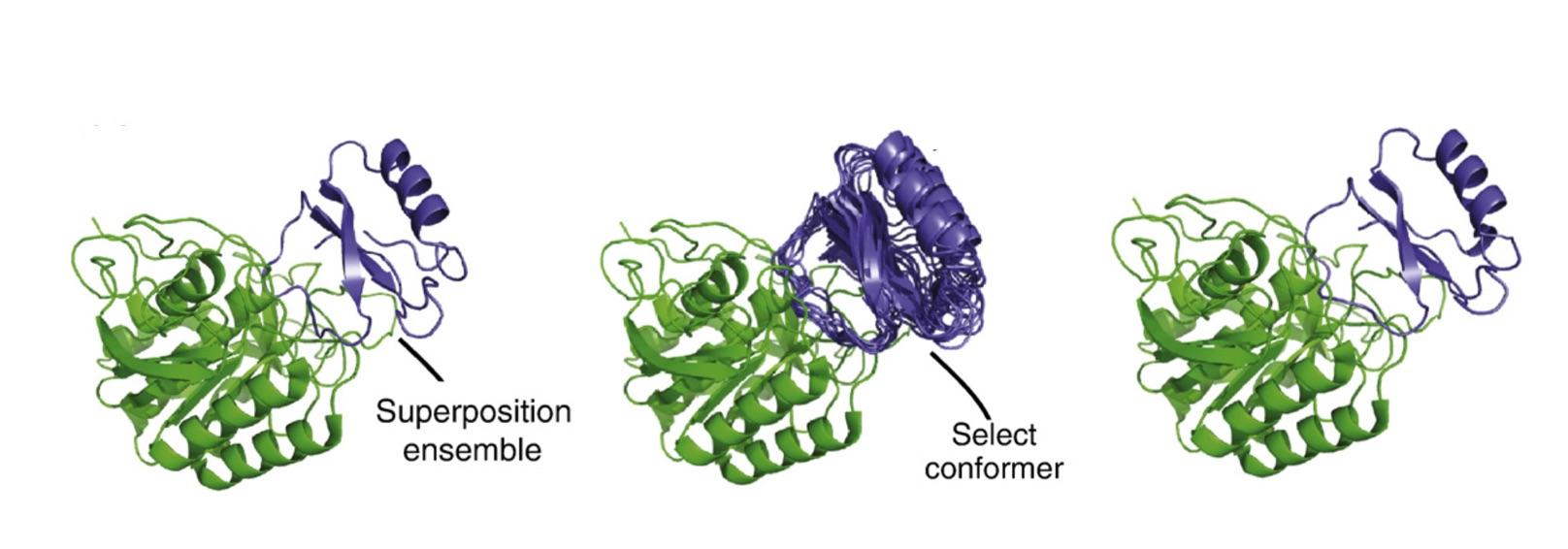 RosettaDock: 蛋白-蛋白复合物对接预测 - 知乎